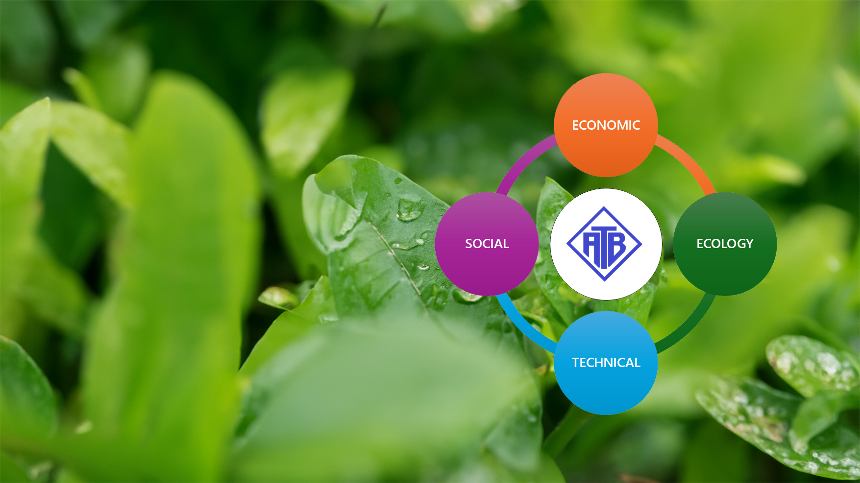 Sustainability - A. Benevenuta & C. SpA